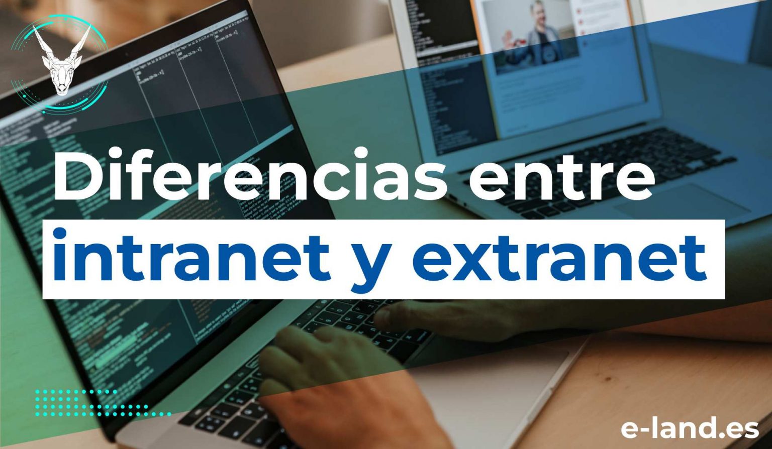 Diferencias entre intranet y extranet, ¿las conoces?